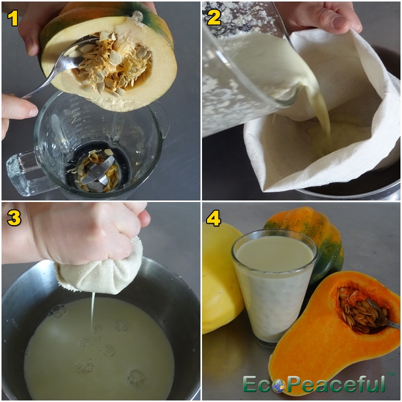 Recipe Melon Seed Milk Recipe - Straight from Melon